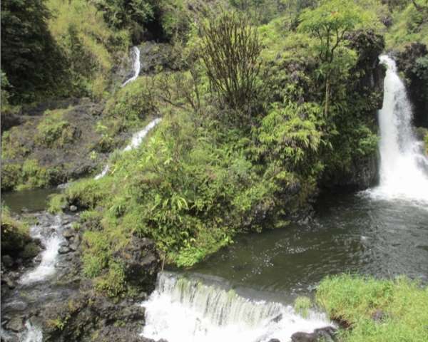 A Picture-Perfect Day on the Road to Hana - Krystal [[Clear]] Trekking